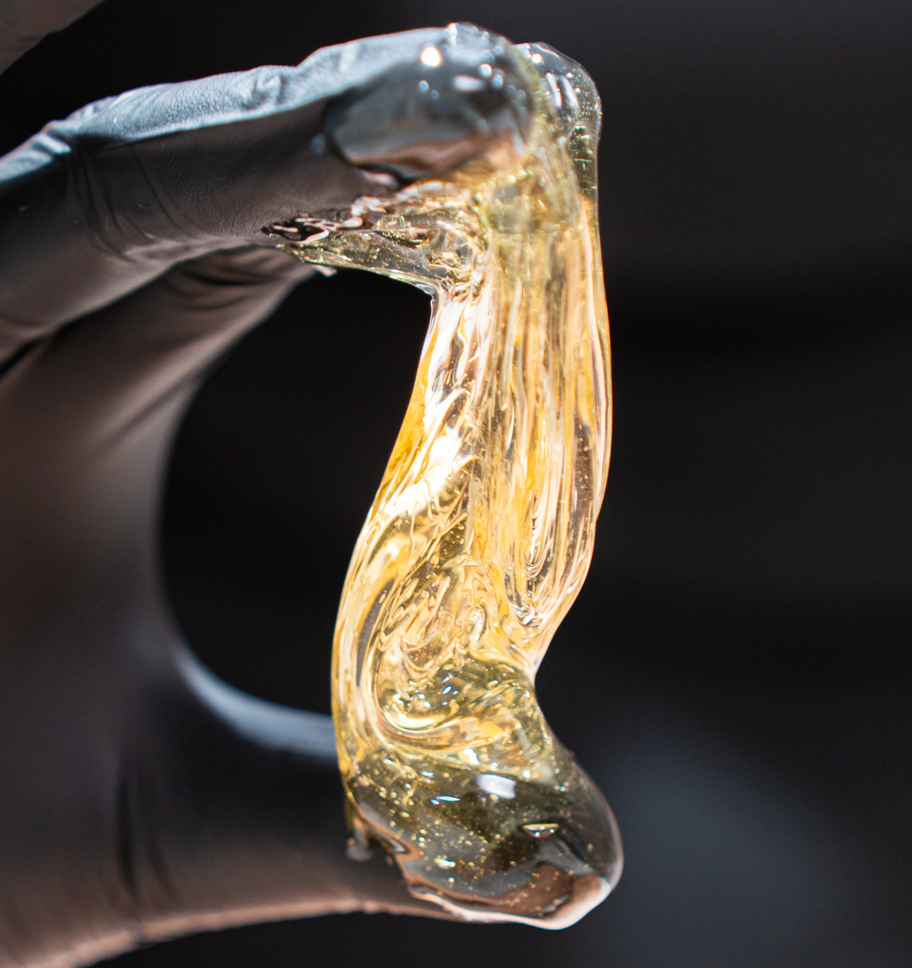 Our Academy - Perron Rigot